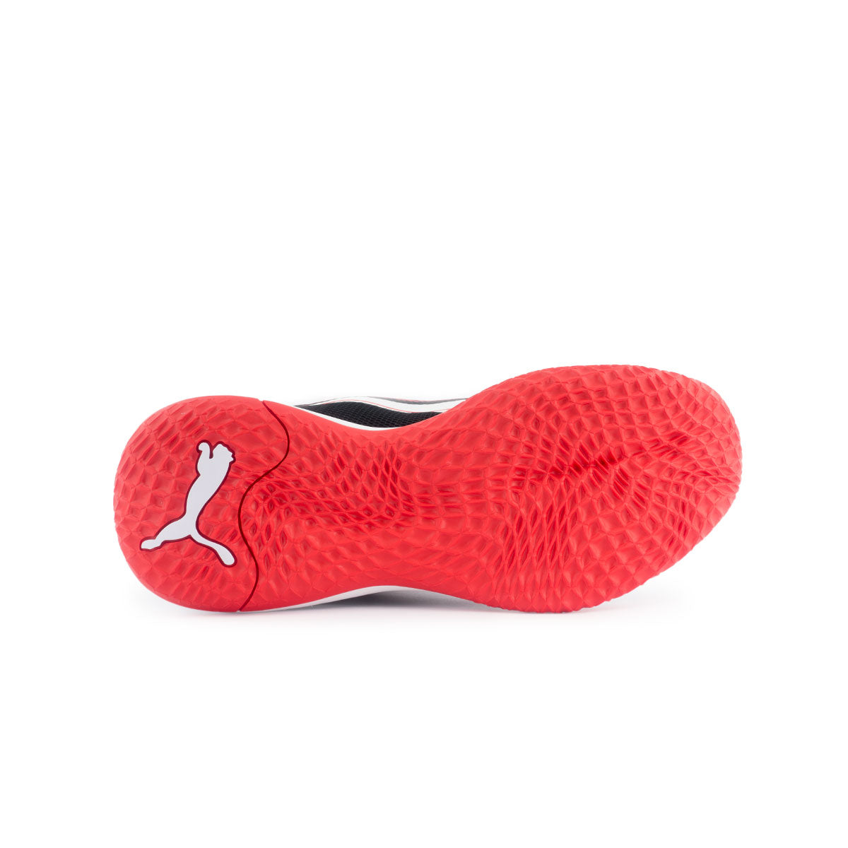 Puma Playmaker 23 – GeneticSports